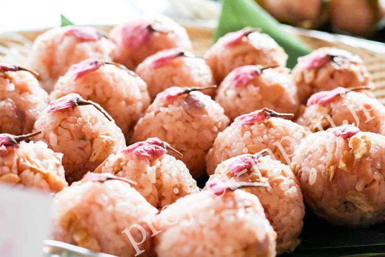 sakura_rice | Project Japan